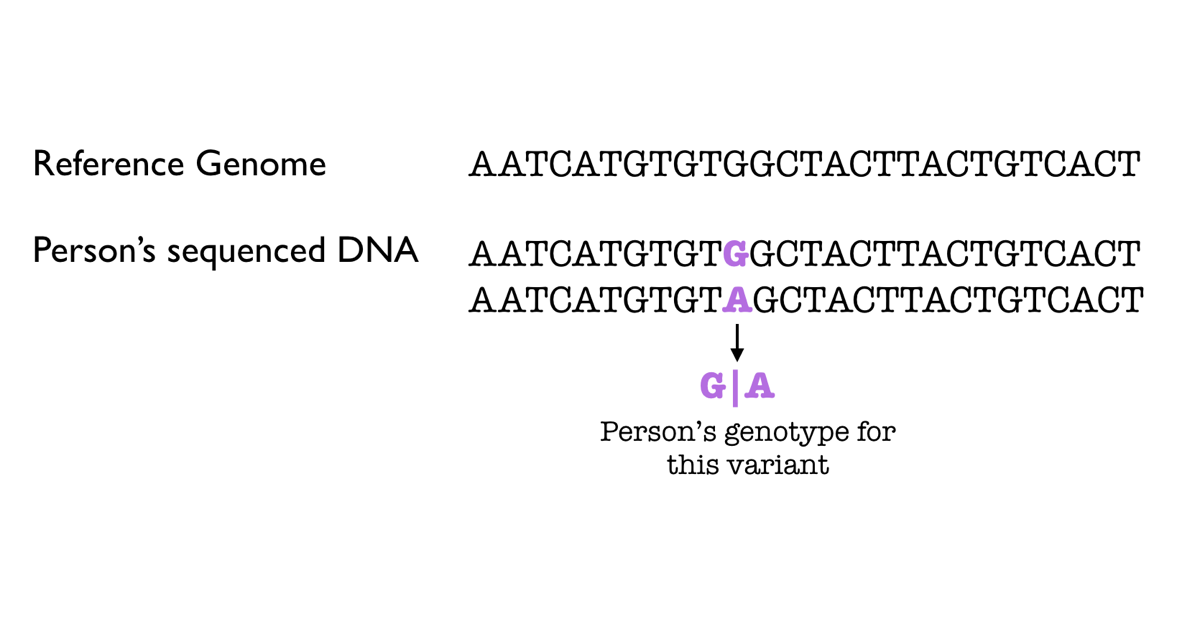 Genome Sequencing in a Nutshell | Databricks Blog