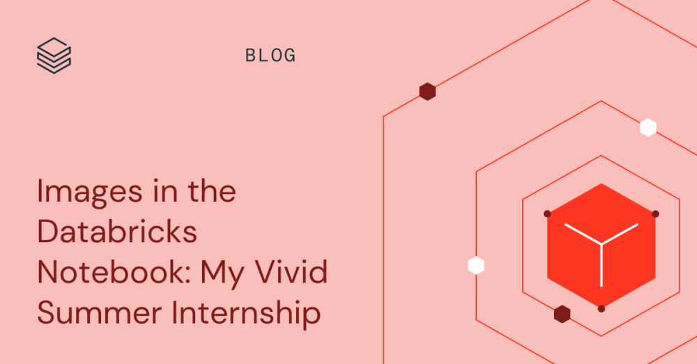 Images in the Databricks Notebook: My Vivid Summer Internship ...
