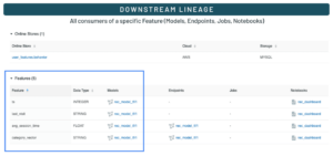 Databricks Feature Store